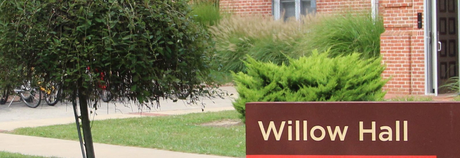 Inside Look, Willow Hall: What My Room Says About Me