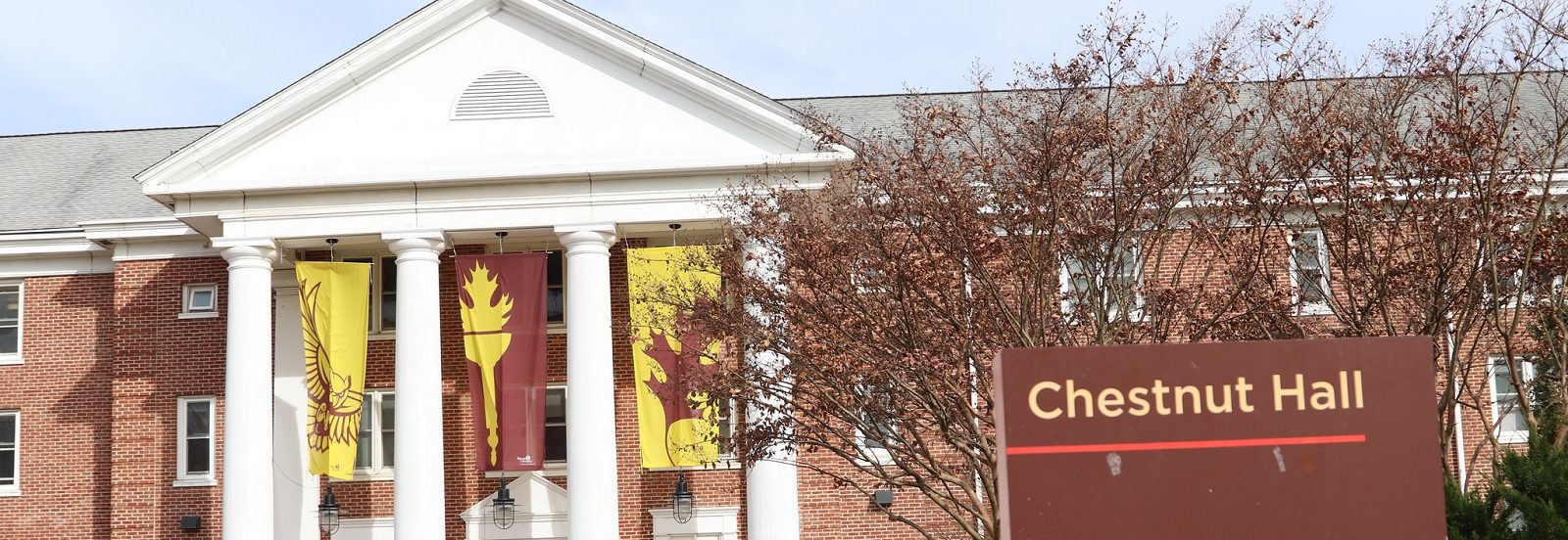 Inside Look, Chestnut Hall: Door Decs and Good Friends