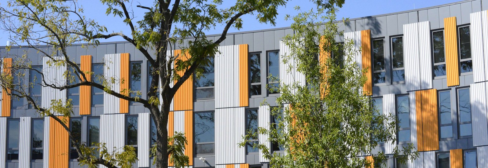 ICYMI: Holly Pointe Commons Tour [VIDEO]