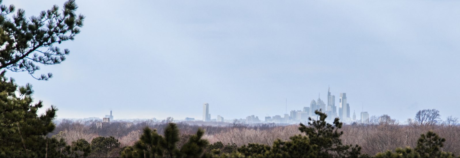 20 Minute Radius: Through Blueberry Hill Trail