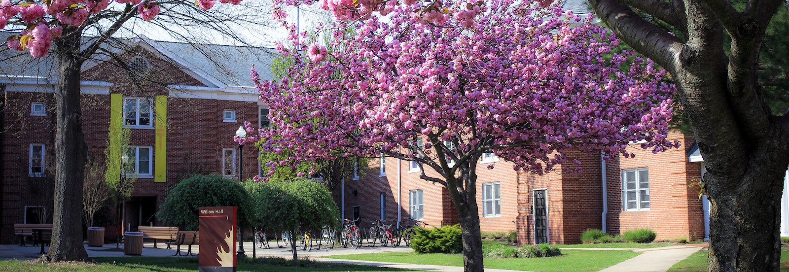 Roommates Reflect: Sarah and Camryn, Willow Hall