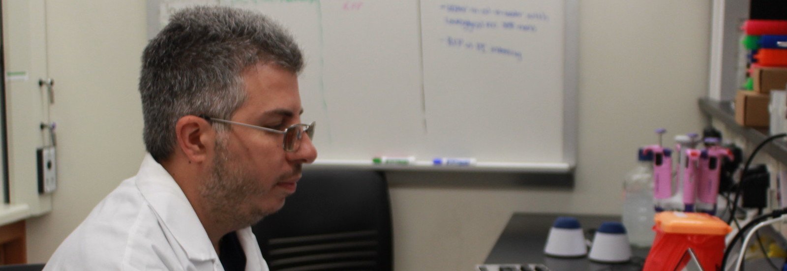 Beyond the Classroom: a Biophysics Lab Experience