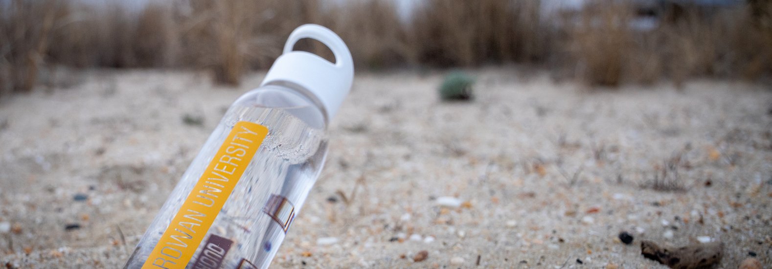 Celebrating Earth Day | 10 Ways to Reduce Your Environmental Impact