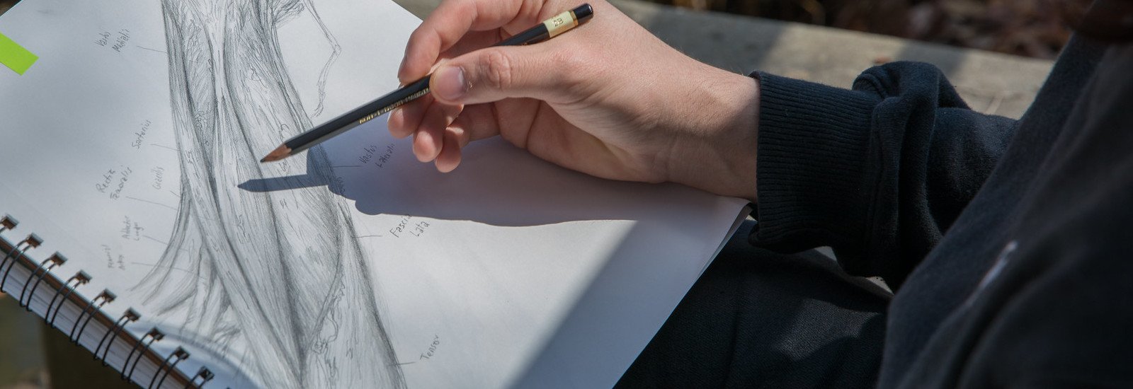 9 Biomedical Art & Visualization Majors Tell Us Why Their Major…