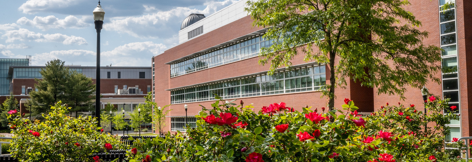 Student Affairs Blog | Rowan University – Highlights the Rowan ...