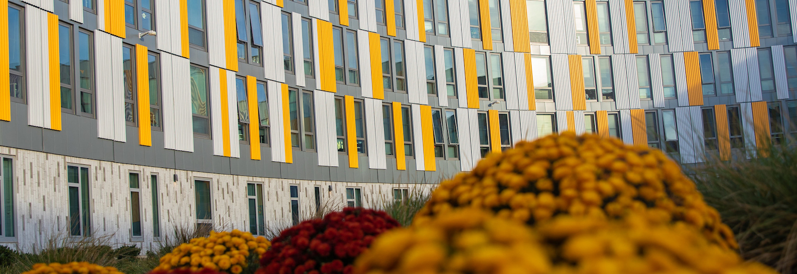 Student Affairs Blog | Rowan University – Highlights the Rowan ...