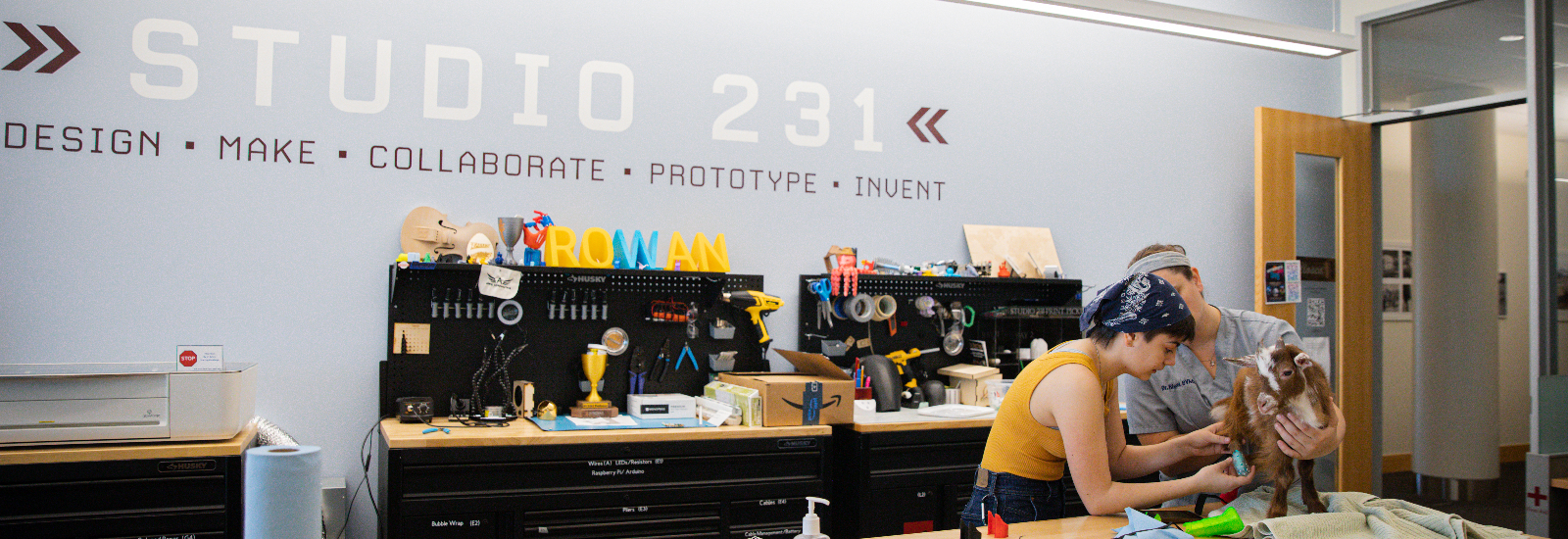 Veterinary Innovation Gives Fortunato the Goat a New Lease on Life…